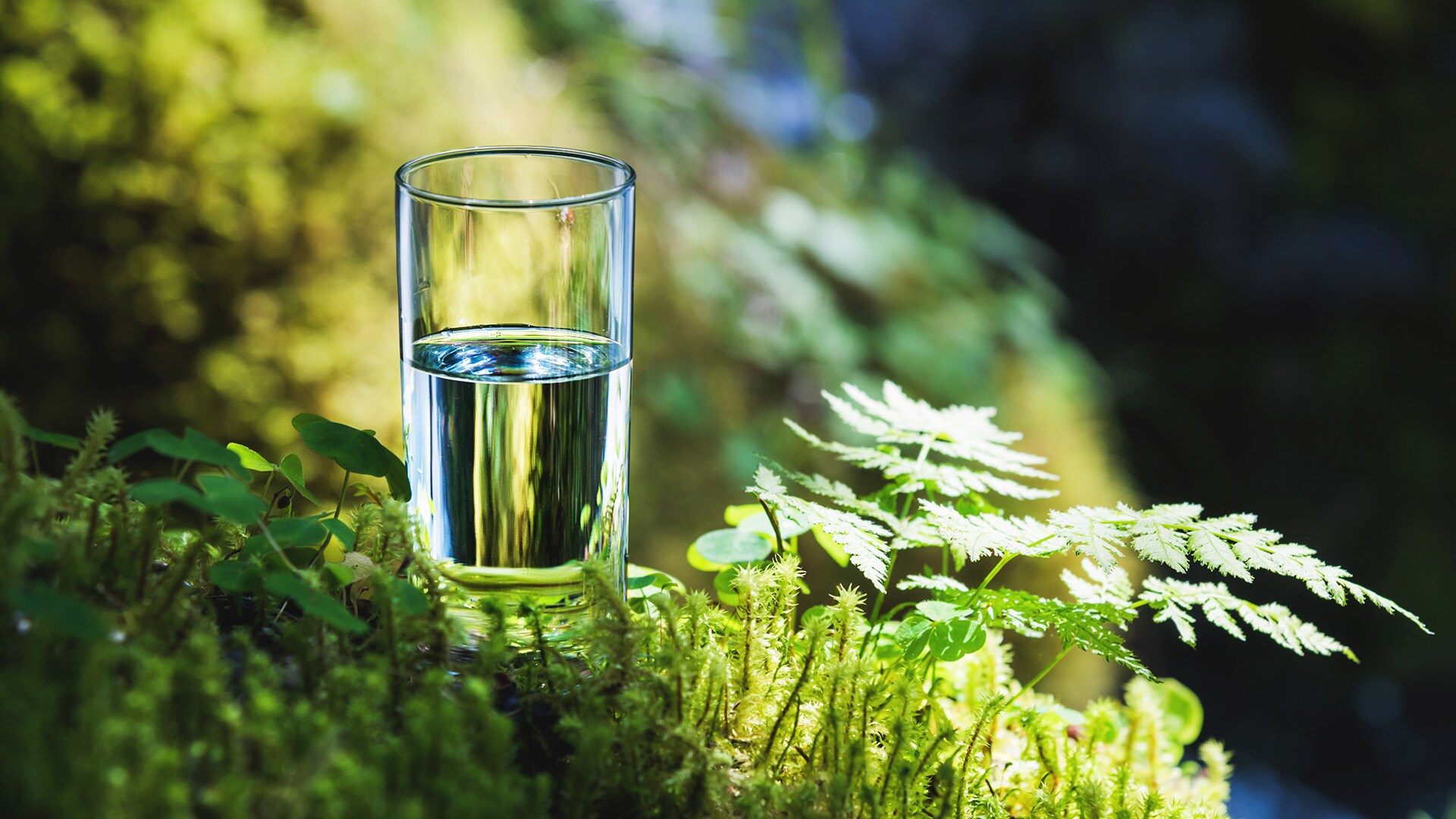 GNV 5E036 IA | Opvaskemaskine(Integrerede opvaskemaskiner) | GRUNDIG