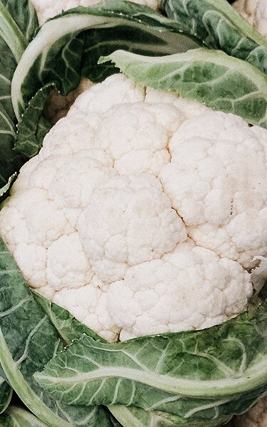 Conoce lo que comes: Coliflor | Grundig