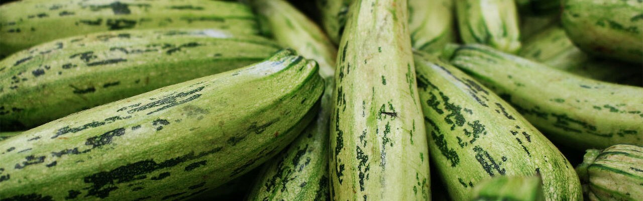 Conoce lo que comes: Calabacín | Grundig