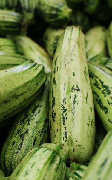 Know Your Food: Zucchini